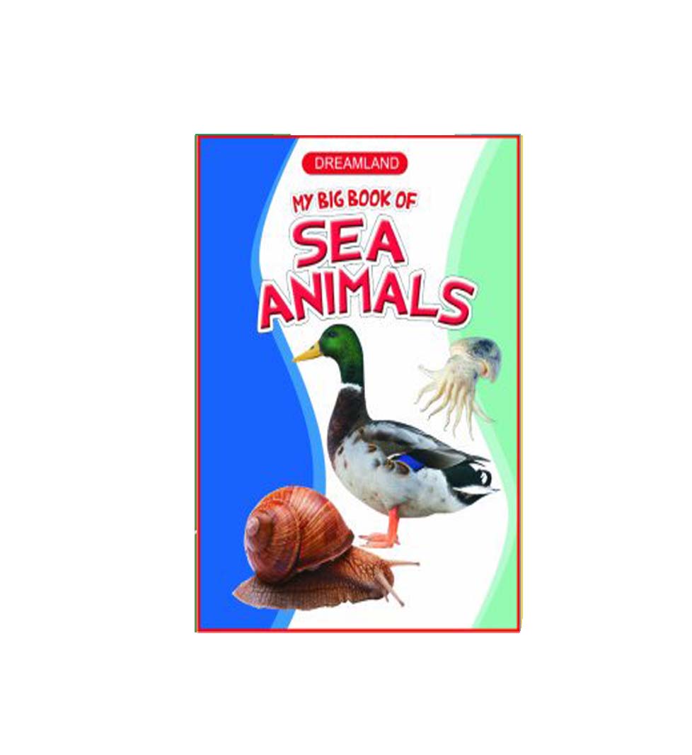 My Big Book of Sea Animals (English) – PUSHMYCART