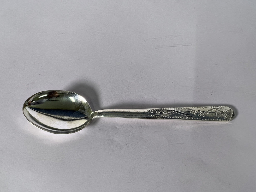 Pure Silver Spoon 20g – PUSHMYCART