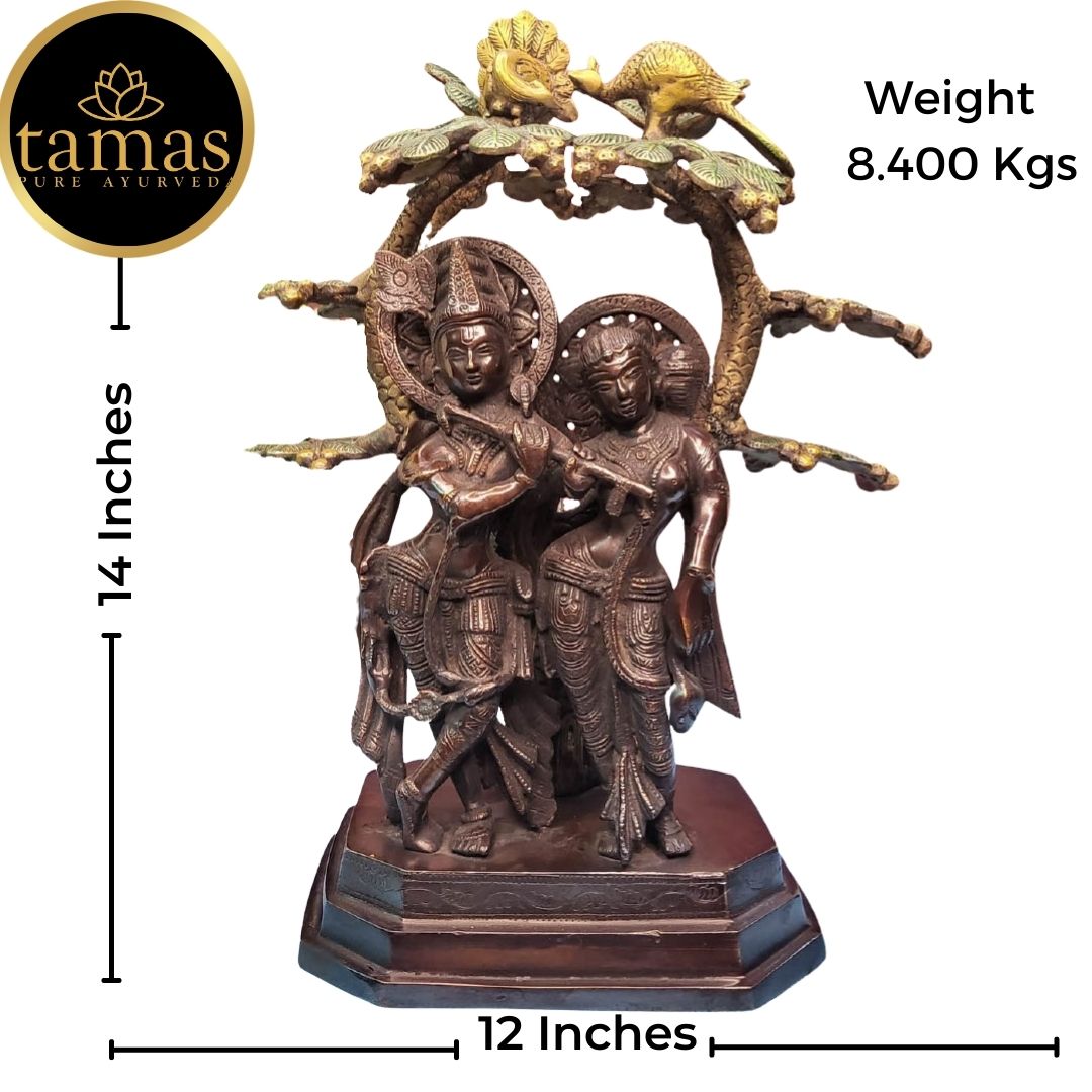 Tamas Brass Handcrafted Radha Krishna Yugal Jodi with Flute Statue ...