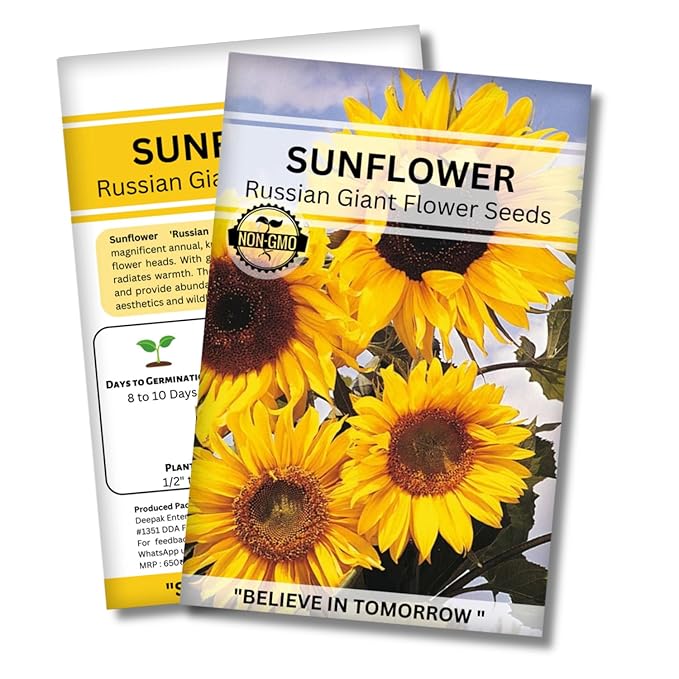 Navika Sunflower Russian Giant Flower Seeds – PUSHMYCART
