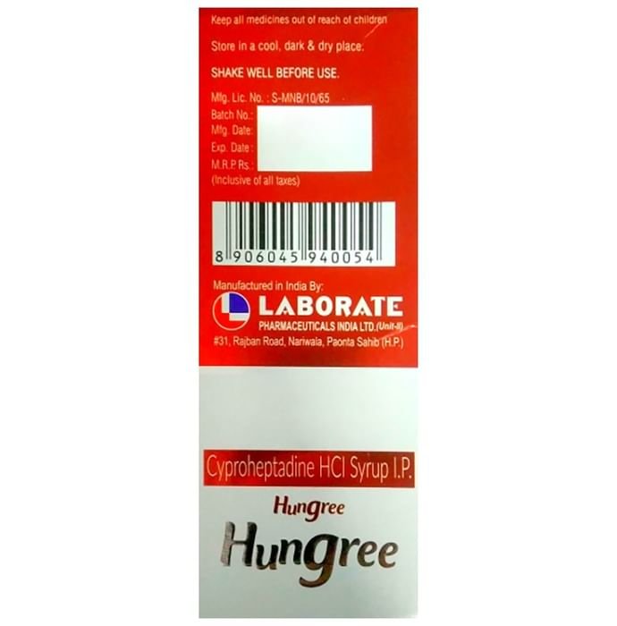 Hungree Syrup Strawberry – PUSHMYCART