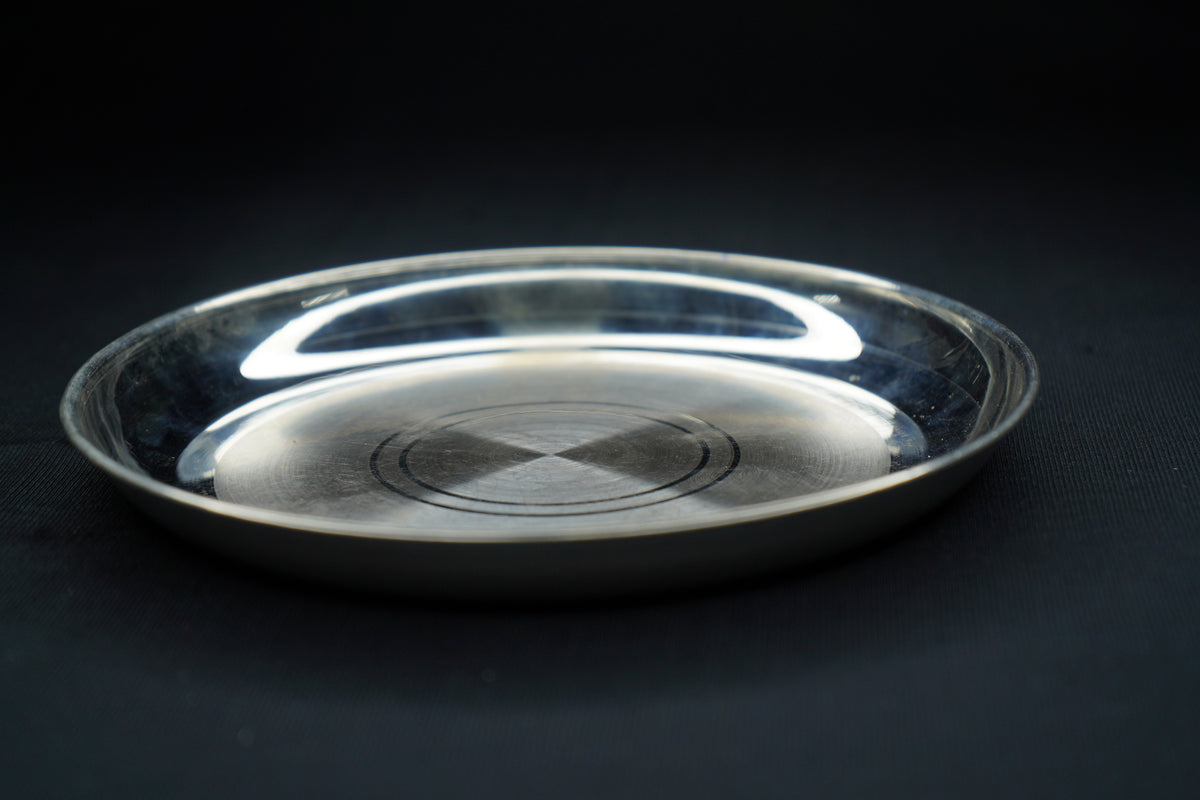 Pure Silver Plate 100 grams – PUSHMYCART