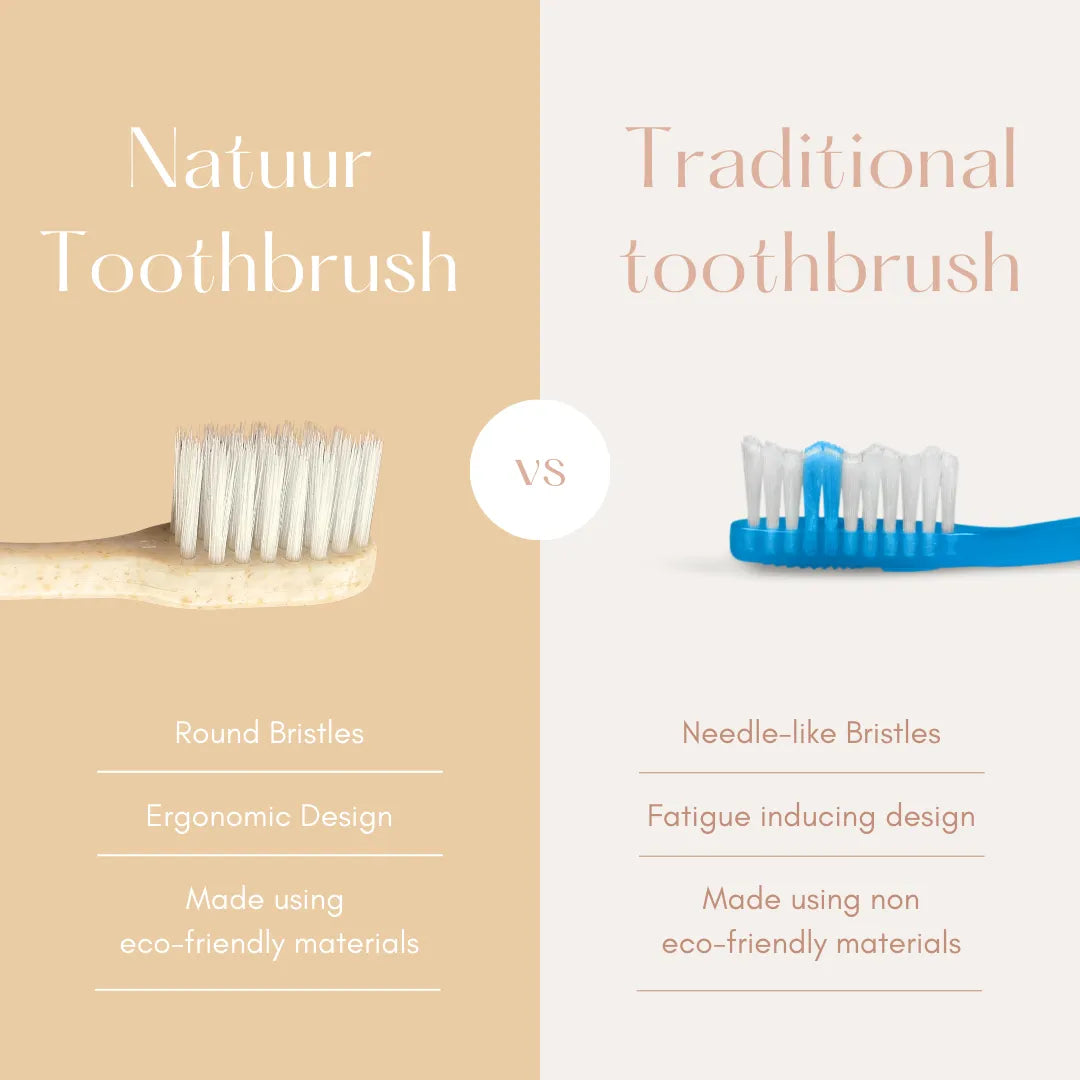 Natuur Daito Tooth Brush Y HUSK (Made in Japan) – PUSHMYCART