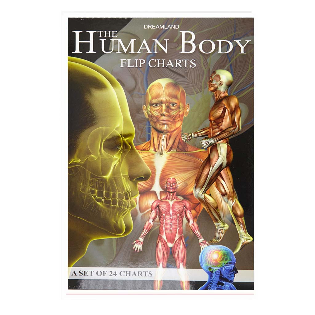 The Human Body Flip Charts - Hardcover (English) – PUSHMYCART
