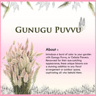 Gunugu Puvvu | Celosia flowers – PUSHMYCART