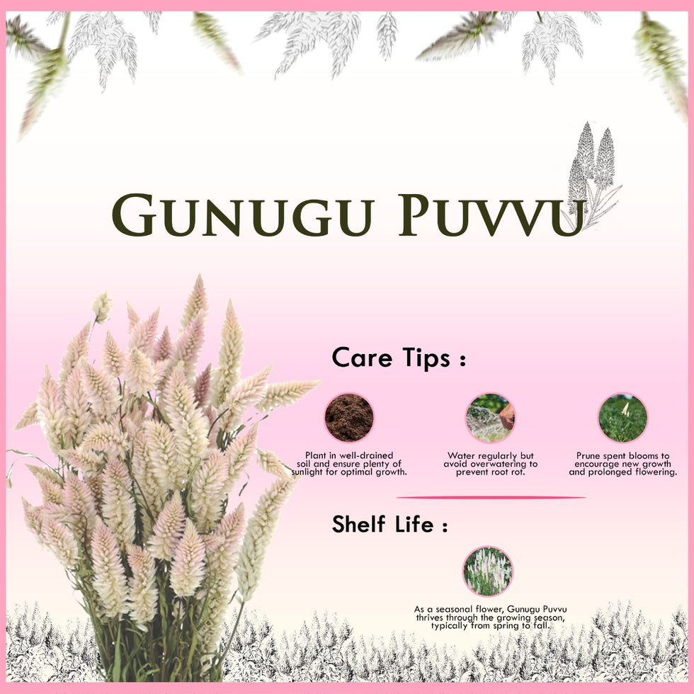 Gunugu Puvvu | Celosia flowers – PUSHMYCART