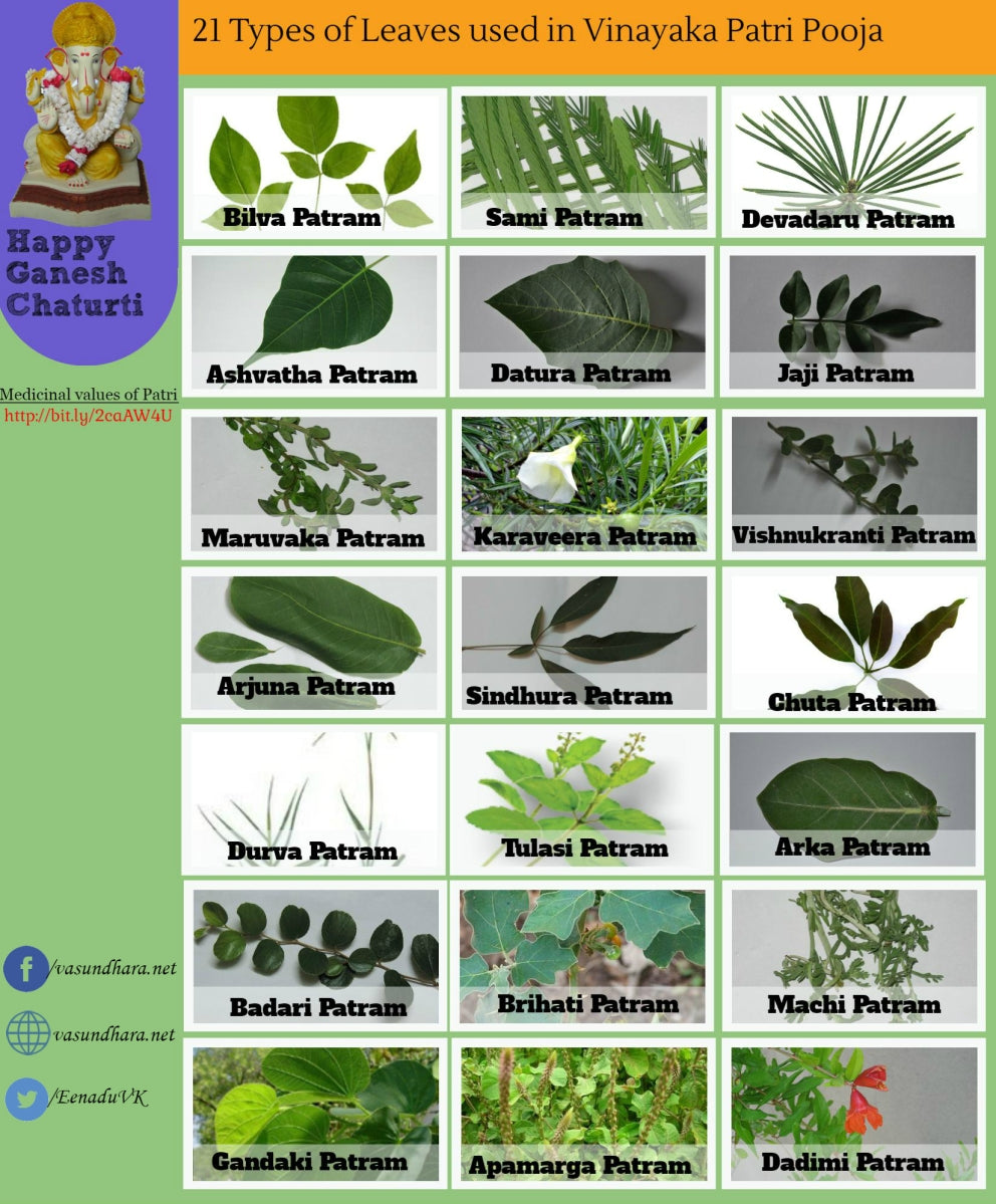 Patri For Ganesh Patri Pooja – PUSHMYCART