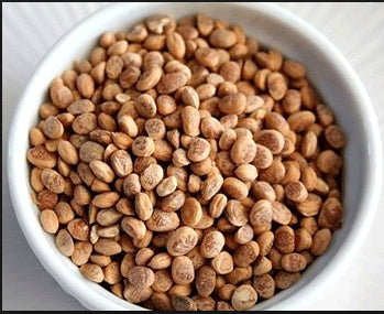 Prakruthi Chironji|Charoli|Sara Pappu – PUSHMYCART