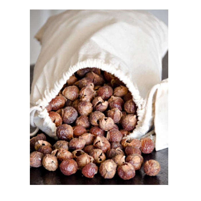 Prakruthi Soap Nuts For Hair 500g – PUSHMYCART