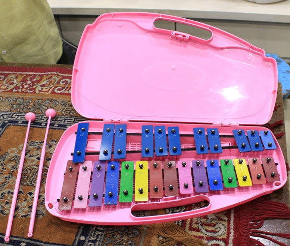 Xylo Phone Box Musical Instrument – PUSHMYCART