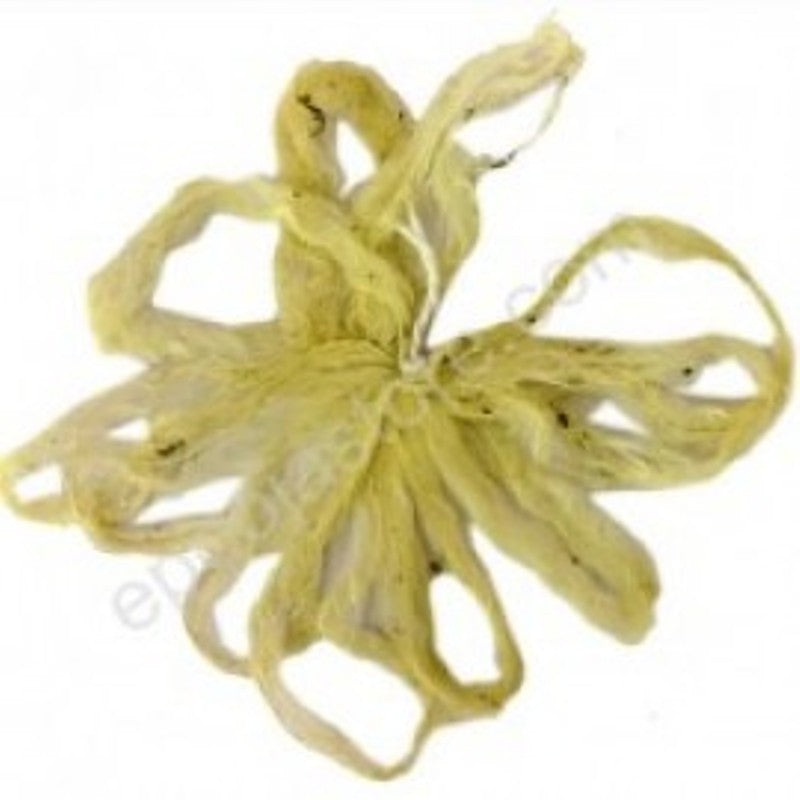 Lakshmi Tamara Vattulu Wicks 10 Packs – PUSHMYCART