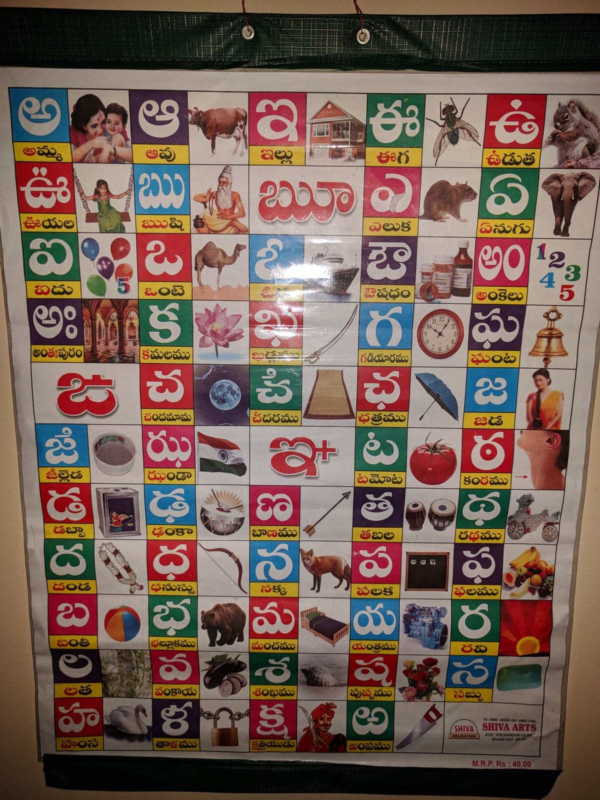 Buy online Telugu letters chart at lowest price – PUSHMYCART