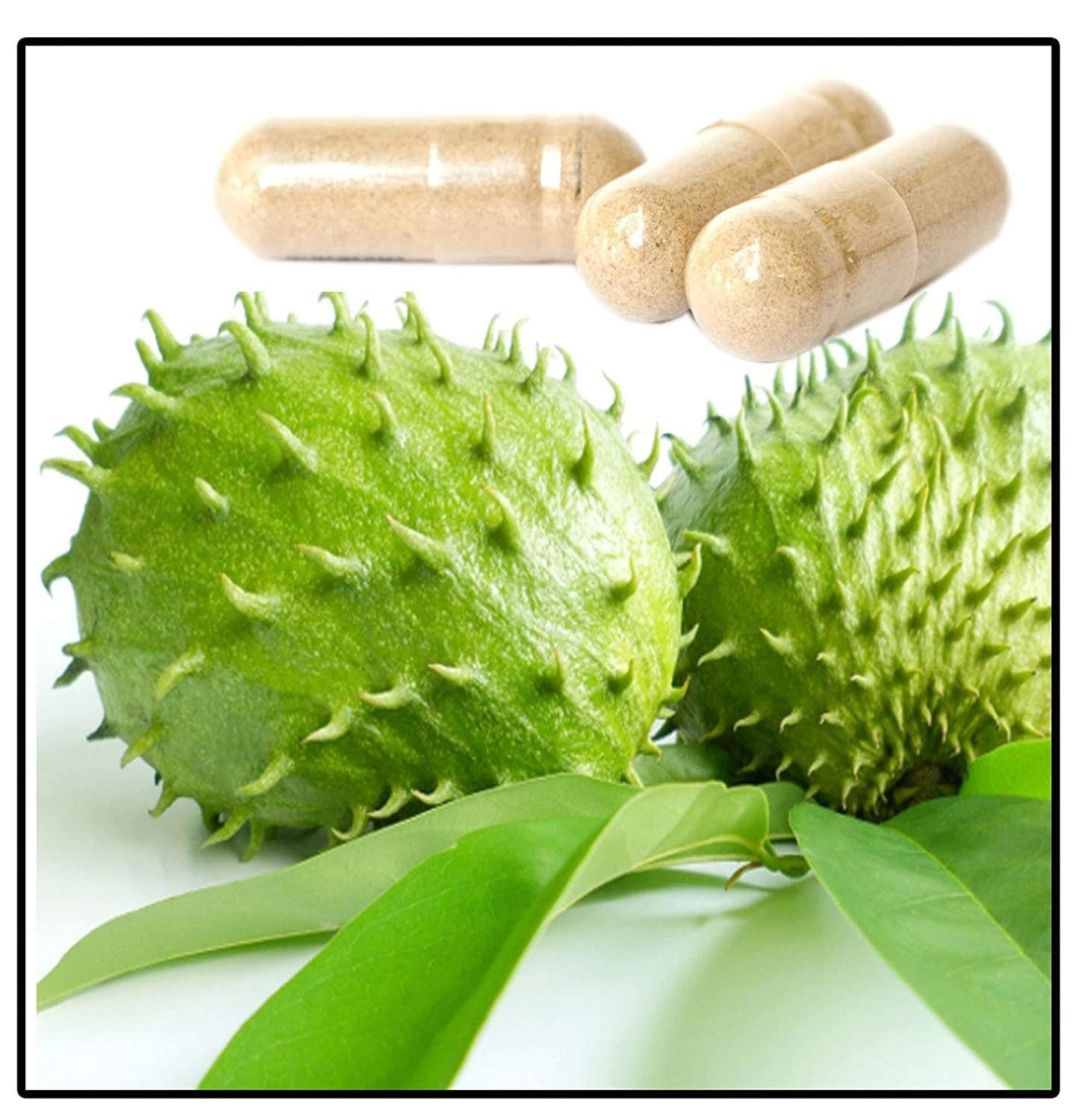 Alavi Graviola/Soursop Fruit Dry Powder Capsules – PUSHMYCART