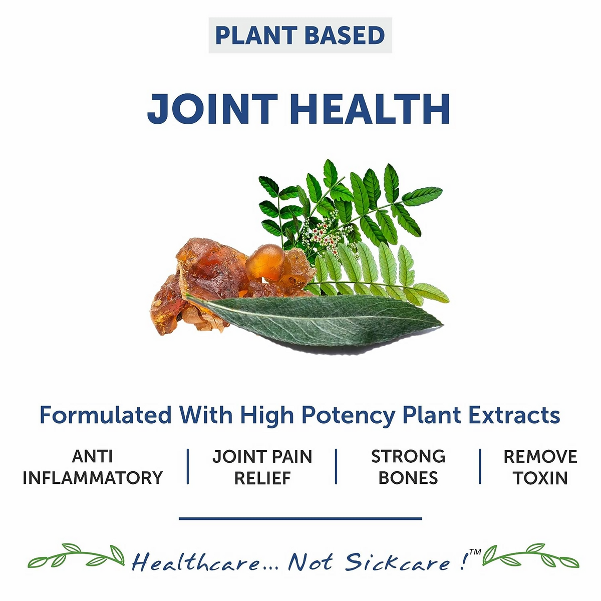 Bliss Welness Boswellia White Willow Tablets – PUSHMYCART