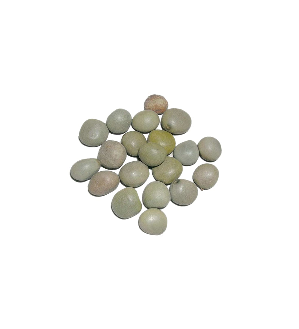Balu Herbals Gachha Kayalu 100g – PUSHMYCART