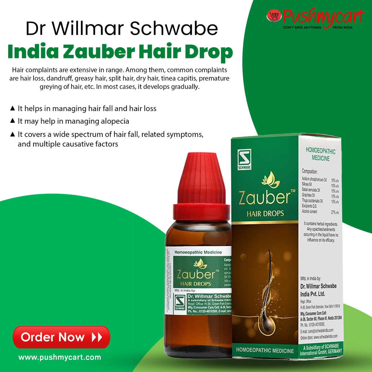 Dr Willmar Schwabe India Zauber Hair Drop 30ml – PUSHMYCART