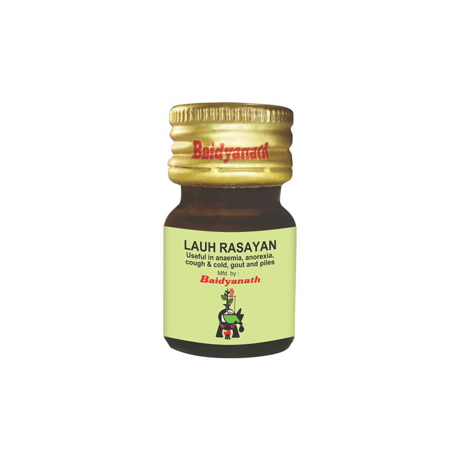 Baidyanath Vansaar Lauh Rasayan 2.5g – PUSHMYCART