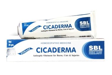 SBL Cicaderma Ointment 25g – PUSHMYCART