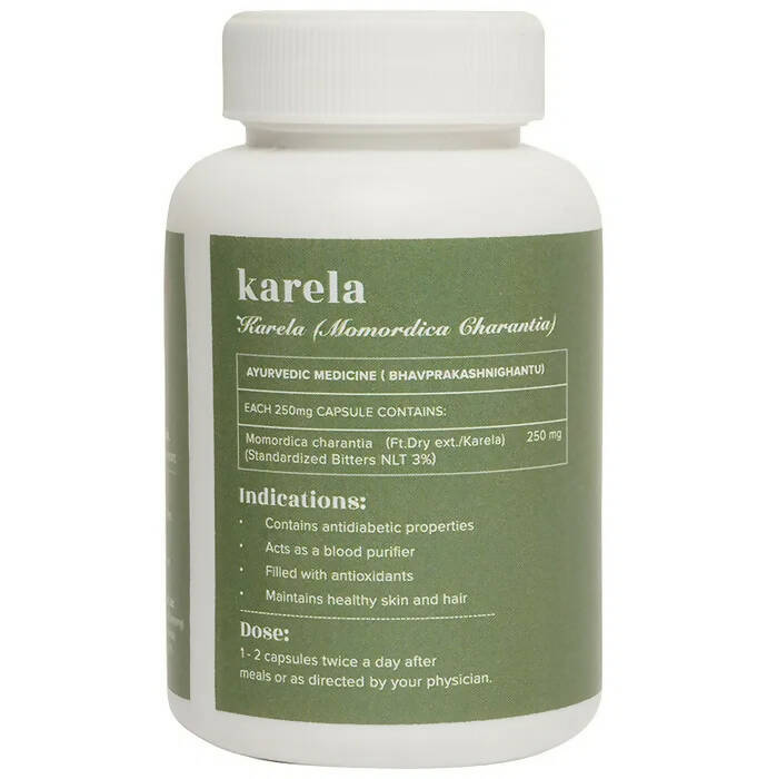 Baidyanath Jhansi Ayurvedant Karela Capsules – PUSHMYCART