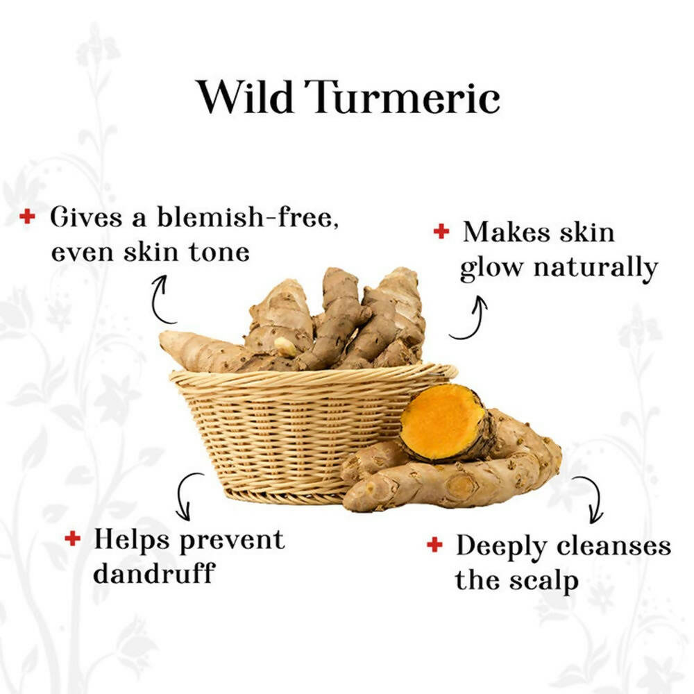 Alps Goodness Wild Turmeric Powder – PUSHMYCART